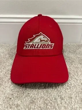 New Era | Accessories | Birmingham Stallions New Era Red 39thirty ...